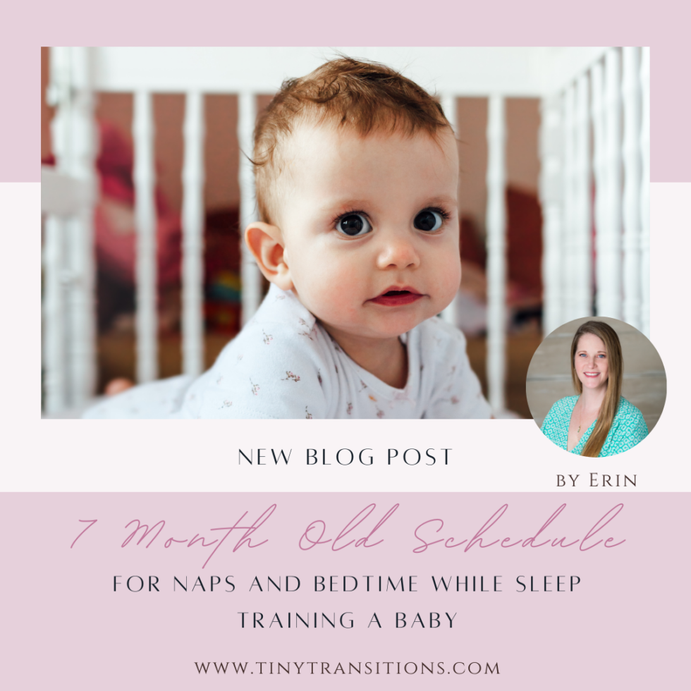 The Ultimate Guide for 7-Month-Old Wake Windows, Sleep Regressions, and ...